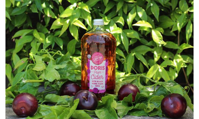 Good George Cider Doris Plum Cider Squealers Twin Pack 946ml x 2 ...