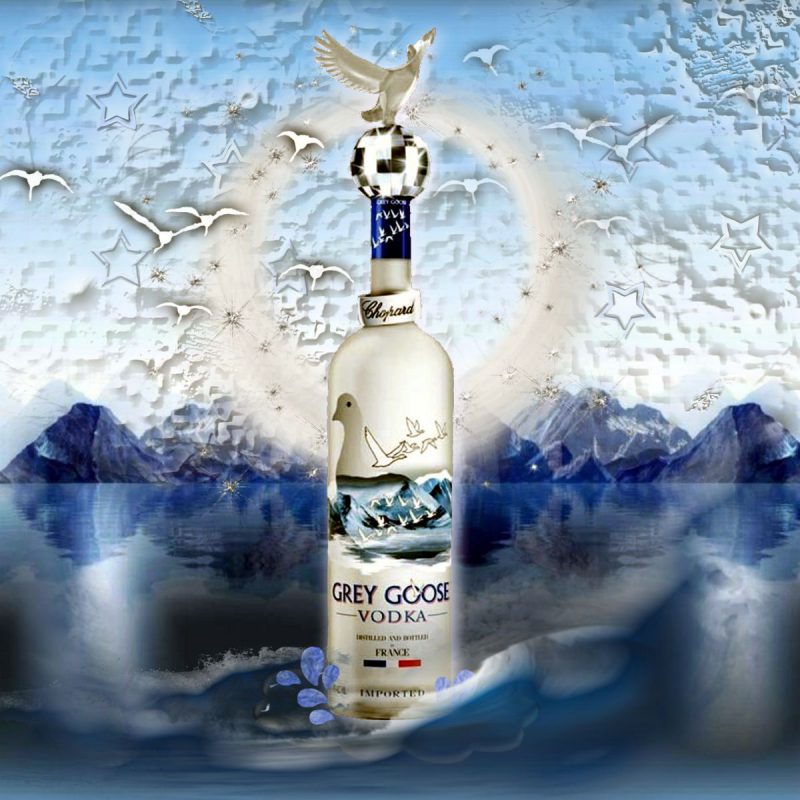 Grey Goose Original Vodka 700ml | Drinkland