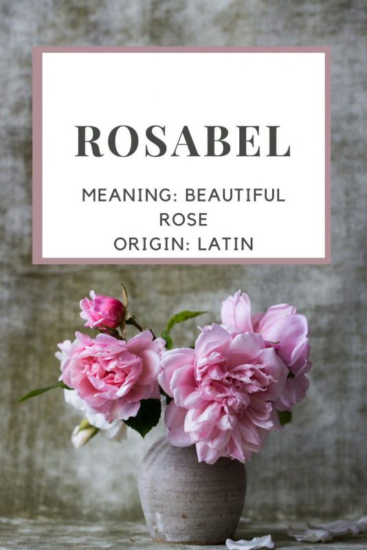 Rosabel Rosé Vin De France 750mL | Drinkland